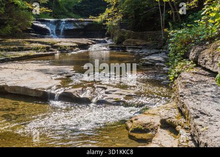 Robert H. Treman State Park features dramatic waterfalls, rugged gorges ...