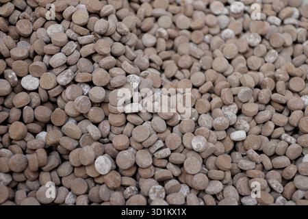 Moldy Fish Feed Pellets in Hand – Spoiled Aquaculture Feed Concept ...