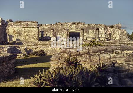 Ruins of buildings dating back to the Mayan civilization in the Tulum ...
