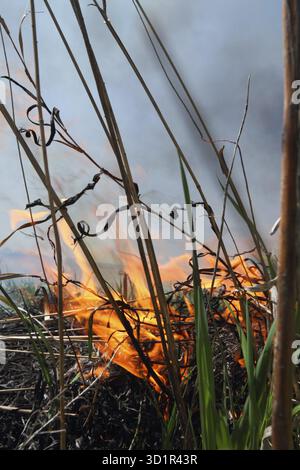 Prescribed prairie burn on the Great Plains in Nebraska Stock Photo - Alamy