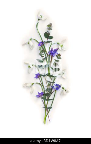 Fresh eucalyptus leaves flat lay on beige background Stock Photo - Alamy