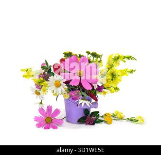Maple samaras isolated on white background Stock Photo - Alamy