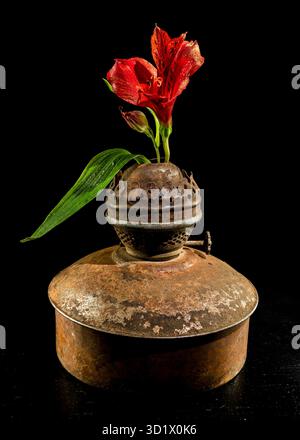 Vintage Rust and Bloom Stock Photo - Alamy