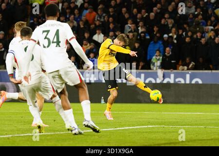 Wolverhampton Wanderers' David Moller Wolfe and Wolverhampton Wanderers ...