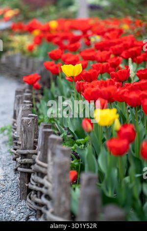 View of the wooden fence, meadow and amazing blue cloudy sky Stock ...