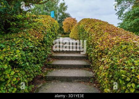 Chadderton Hall Park in autumn Stock Photo - Alamy