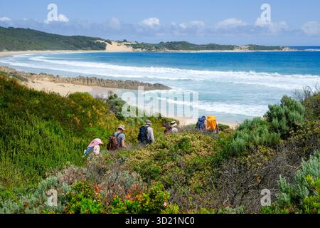 Walkers hiking the Cape to Cape Track walking through Boranup Leeuwin ...