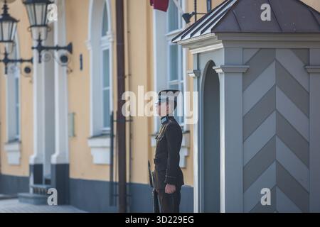 Guard of honour at Riga Castle, Presidential Palace Stock Photo - Alamy