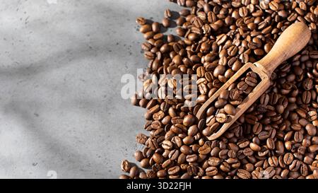 A handful of roasted coffee beans and a wooden scoop on a gray ...