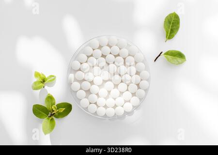 White round tablets with a natural composition. Tablets, minerals and ...
