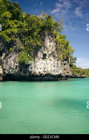 A rocky formation covered by lush green trees on a sunny day Stock ...