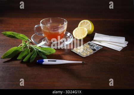 Concept of alternative cold treatment on beige background, top view ...