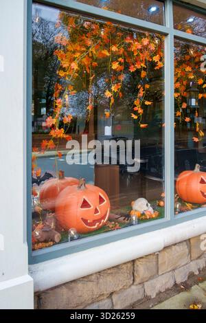 Pumpkins for halloween in a shop window display Stock Photo - Alamy