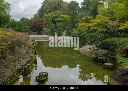aWE VIEW on Topiary trees (thuja tree?) and Japanese maple treeS ...