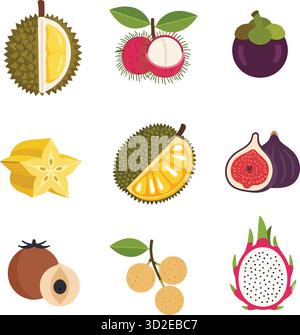 fruit sapodilla fresh logo design Stock Vector Image & Art - Alamy