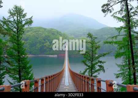 Suspension bridge over Majang Reservoir on a misty morning, South Korea ...