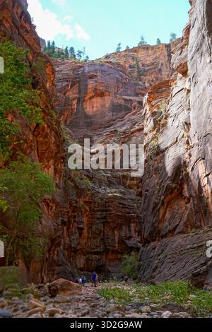 The rugged surface of a rocky cliff reveals intricate textures and ...