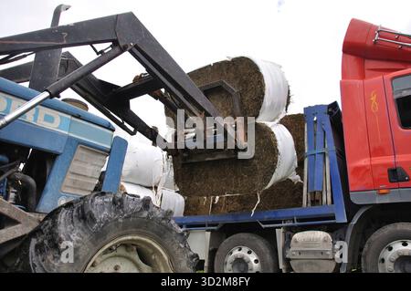 Tractor unloading bales of hay from truck Stock Photo - Alamy