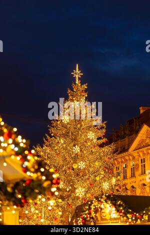 Brightly illuminated christmas decorations on front yard of florida ...