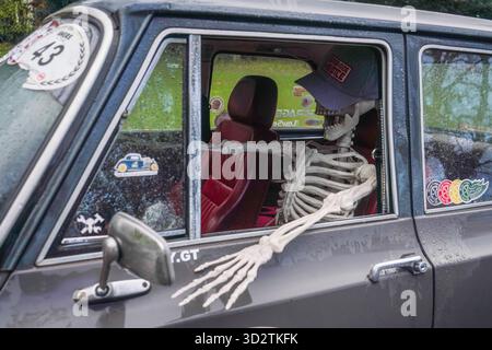 2 November 2025. A human skeleton sitting behind a steering wheel ...