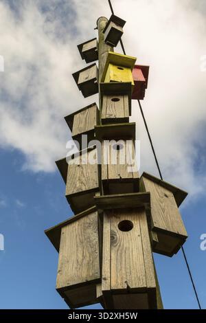 Several wooden bird boxes on a wooden wall Stock Photo - Alamy