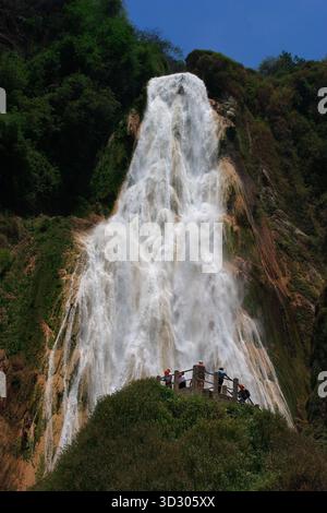 Jungle of the state Chiapas, Mexico Stock Photo - Alamy
