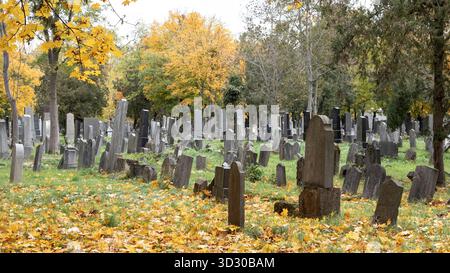 Alter Israelitischer Friedhof, Zentralfriedhof, Wien, Österreich ...
