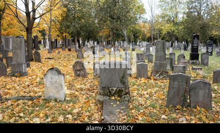 Alter Israelitischer Friedhof, Zentralfriedhof, Wien, Österreich ...