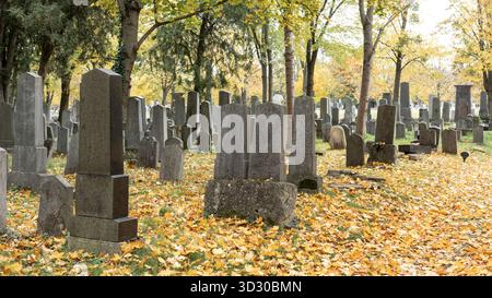 Alter Israelitischer Friedhof, Zentralfriedhof, Wien, Österreich ...