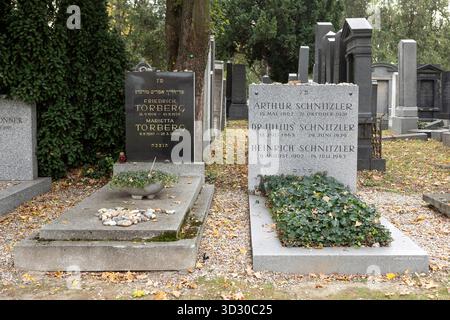 Gräber am alten Jüdischen Friedhof am Zentralfriedhof in Wien ...
