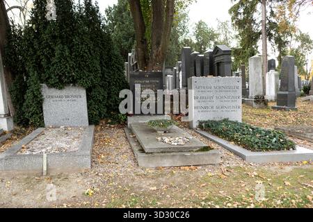 Gräber am alten Jüdischen Friedhof am Zentralfriedhof in Wien ...