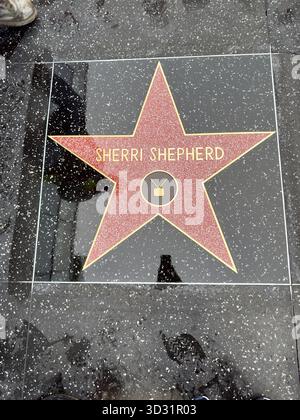 The newly unveiled Hollywood Walk of Fame star honoring actress Rachel ...