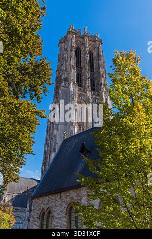 Mechelen (Malines), Belgium. Sint Romboutskathedraal / St. Rumbold's ...