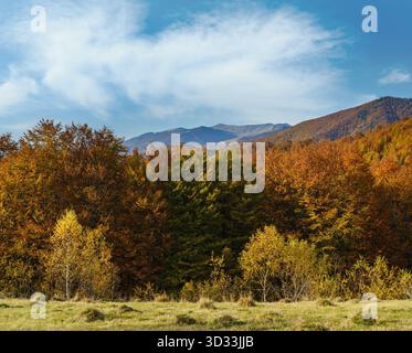 Autumn morning Carpathian Mountains calm picturesque scene, Ukraine ...