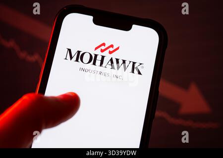 In this photo illustration, a Mohawk Industries logo is seen displayed ...