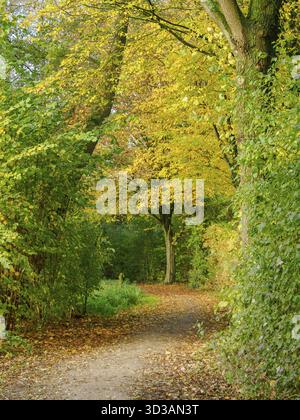 An empty path surrounded by green vegetation. Moody atmosphere Stock ...