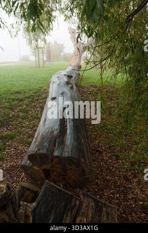 sawn tree trunk lies on the grass. High quality photo Stock Photo - Alamy
