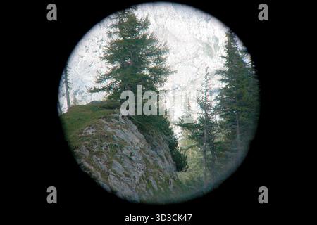 observation with a telescope or field glasses for seeing distant ...