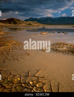 Amargosa River, Saratoga Springs, Avawatz Mountains, Death Valley ...