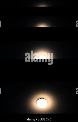 Symmetrical modern lighting and ceiling design of an office building ...