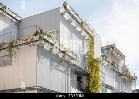 Maebashi Galleria art and living in Gunma Japan, contemporary ...