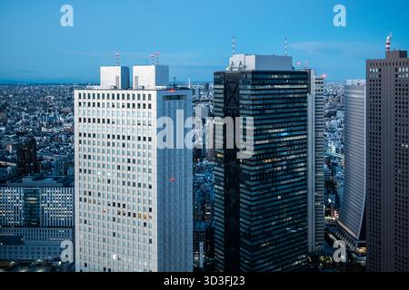 Tokyo skyline at blue hour with illuminated city buildings and Tokyo ...