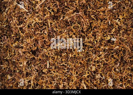 Smoking rolled tobacco leaves close up modern background high quality ...