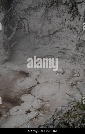 Bubbling hot mud pool at Orakei Koraka Stock Photo - Alamy