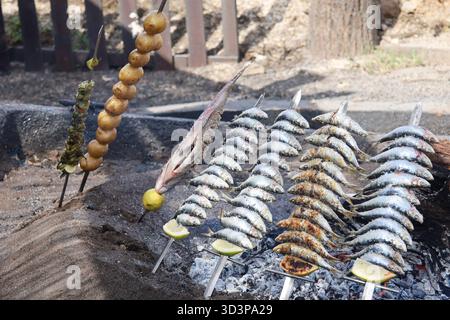 Grilled sardines on espeto method on wood fire on the beach in Spain ...