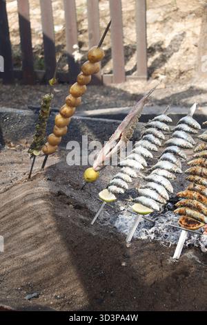 Grilled sardines on espeto method on wood fire on the beach in Spain ...