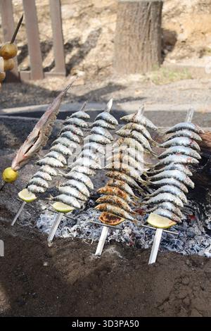 Grilled sardines on espeto method on wood fire on the beach in Spain ...