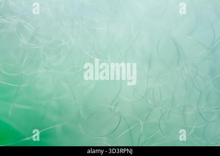 Extreme macro of polyester stable fiber on red background. Selective ...
