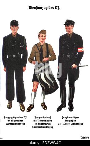 A color plate showing uniforms and insignia of the National Socialist ...