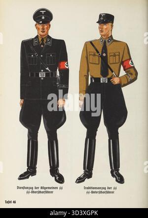Color plate from the 1943 Organisationsbuch der NSDAP showing Waffen-SS ...